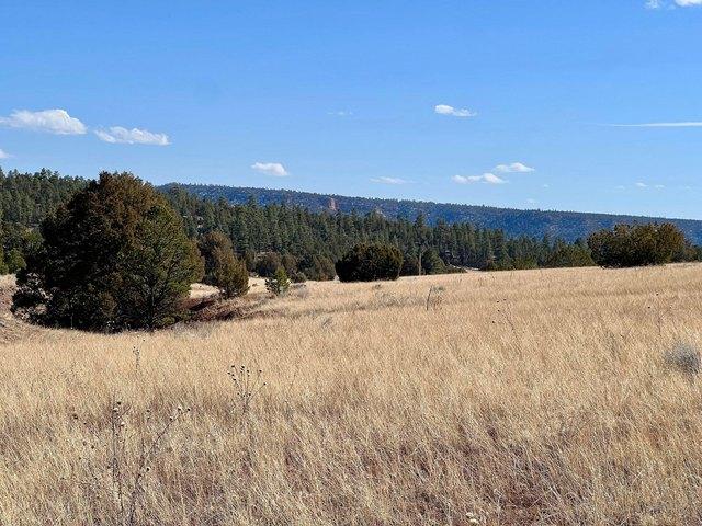 Juniper Dr Lot 9, Ramah, NM 87321