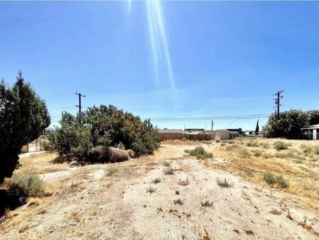 Juniper, Hesperia, CA 92345