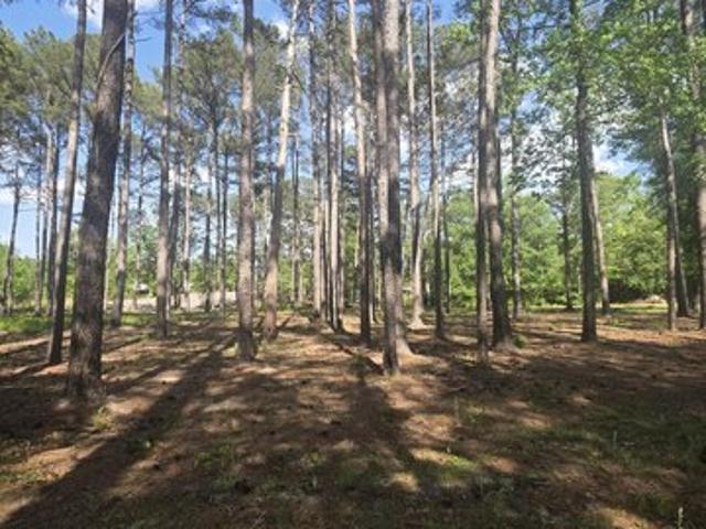 Juniper Ln Lot 47, Currie, NC 28435