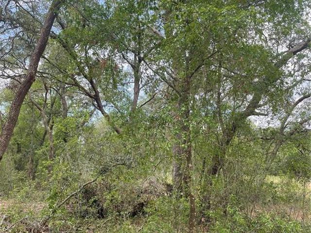Juniper St, Lady Lake, FL 32159 | MLS #O6305