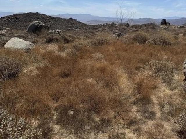 Juniper Springs Rd, Homeland, CA 92548