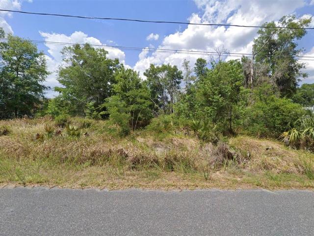 Juniper Trak, Ocala, FL 34480 | MLS #O6379 | Compass