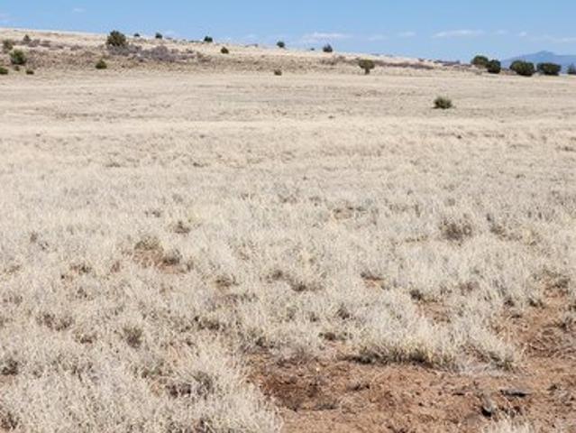 Juniperwood Rnch Lot 66, Ash Fork, AZ 86320