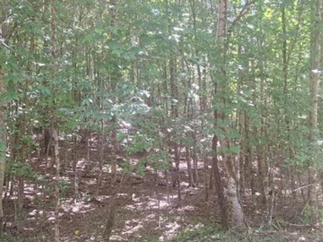 Judah Rd, Morganton, GA 30560