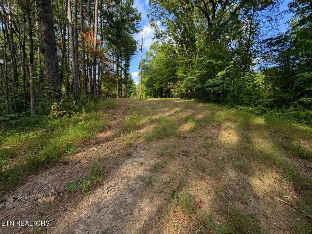 Judd Lane, Decatur, TN 37322