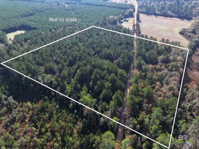 Judge Level Rd, Brewton, AL 36426