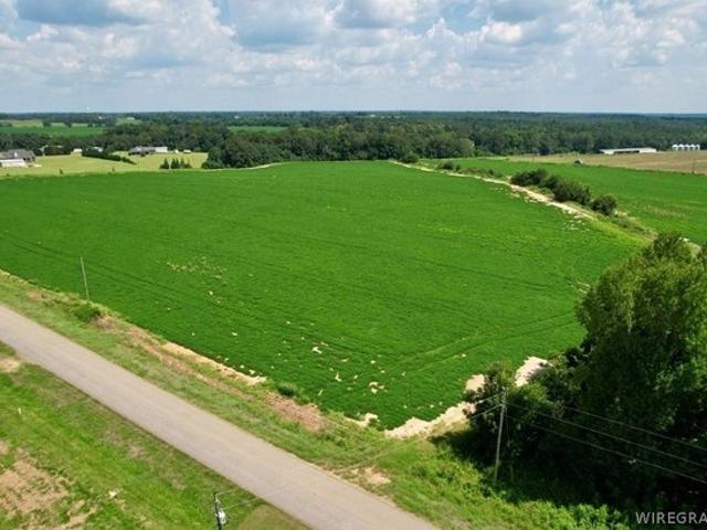 Judge Logue Rd, Newton, AL 36352