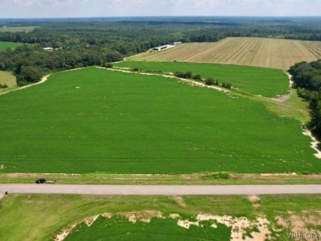 Judge Logue Rd, Newton, AL 36352