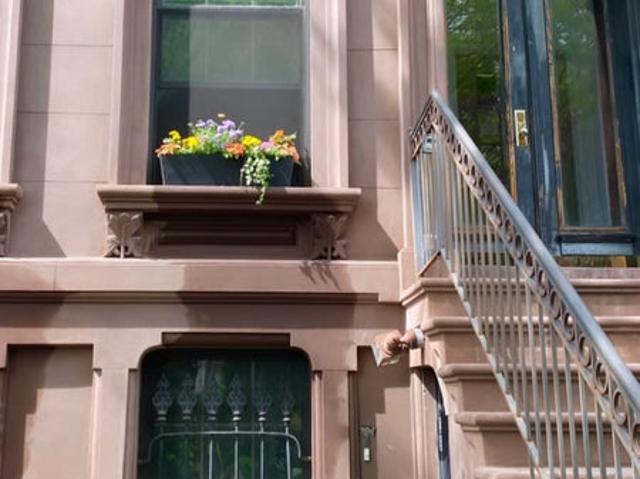 July August Sublet Beautiful Bedstuy Brownstone