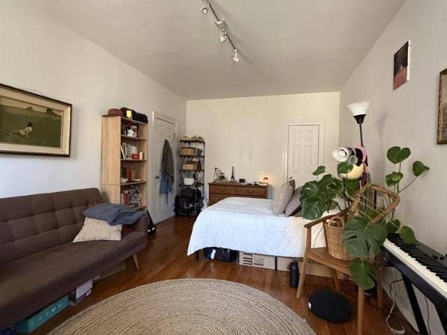 July Sublet Large Room in Brooklyn