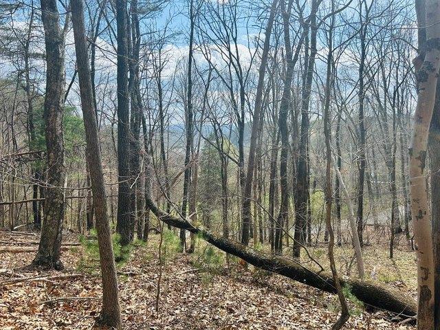 Julia Simpkins Rd Lot 118, Hiwassee, VA 24347