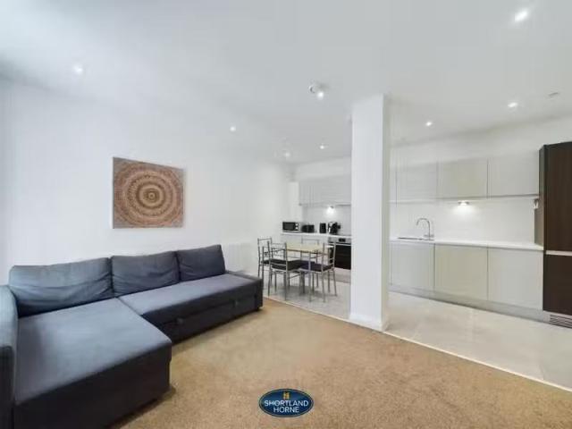 Cozy 1 BA 1 bedroom apartment for rent in The Co Operative, Co.