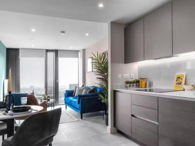 Unique 1 BA 1 bedroom apartment for rent in The Mercian, Broad.