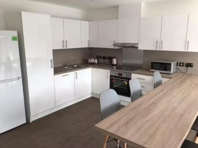 Cheap 1 BA 1 bedroom flat share for rent in Belfast Student.
