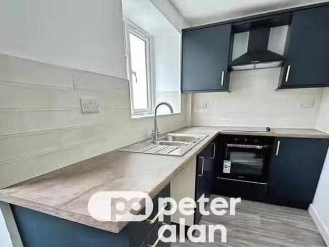 Cozy 1 BA 2 bedroom house for rent in Cardiff Road, Troedyrhiw.