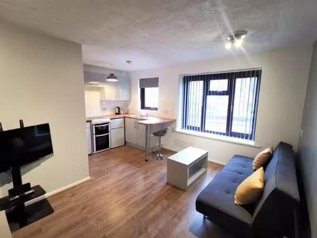 Cozy 1 BA Studio flat for rent in Matthew Court, 369 Hagley Ro.