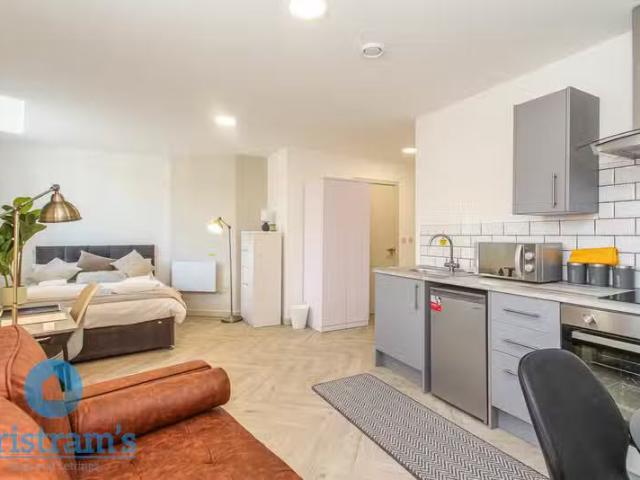 Just in! 1 BA Studio flat for rent in Professional Studios, Vi.
