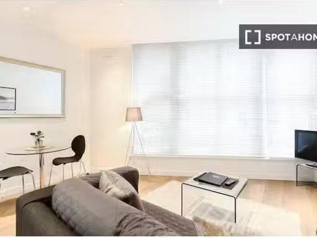 Cozy 1 BR 1 bedroom apartment for rent in Charing Cross, London