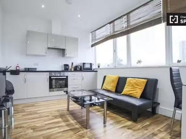 Cheap 1 BR Studio for rent in London