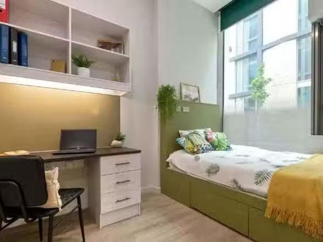 New 1 BR Premium Plus Studio