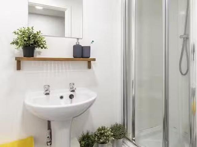 New 1 Room Edward St S3 1 Bedroom, 1 Bathroom