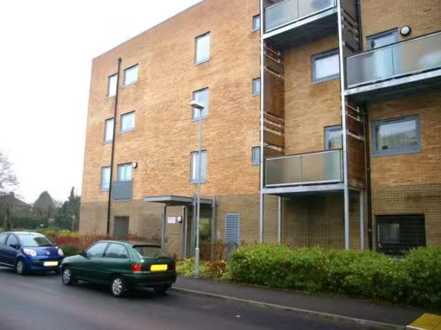 New 2 BA 2 bedroom flat for rent in Bailey House, Rustat Avenu.