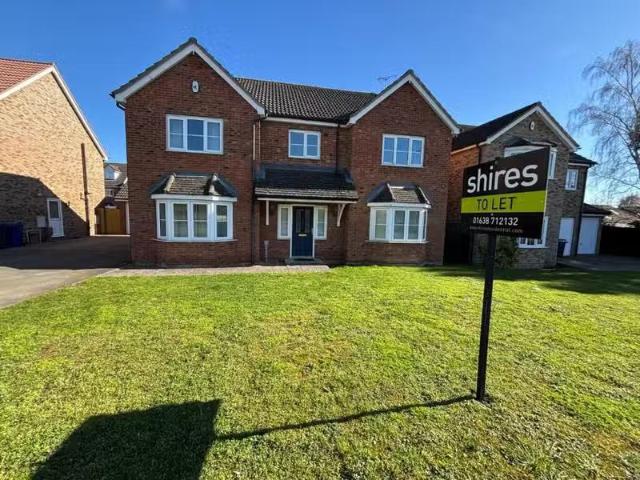 Just in! 3 BA 5 bedroom detached house for rent in Scots Pine.