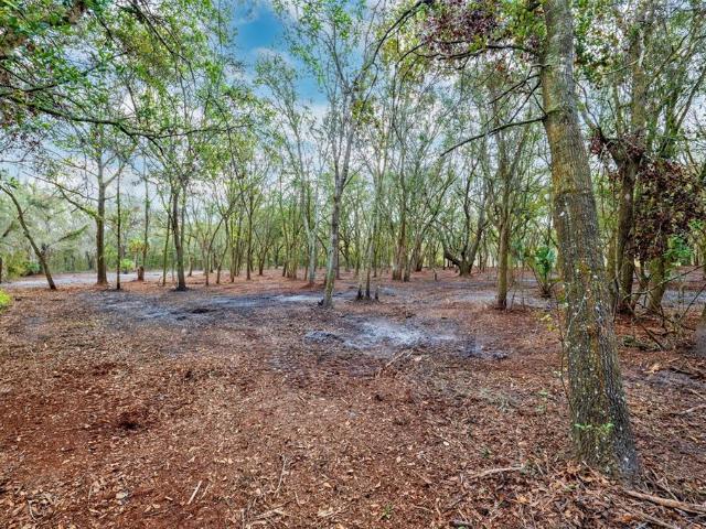 Justin Ln, Plant City, FL 33565 | MLS #TB8328