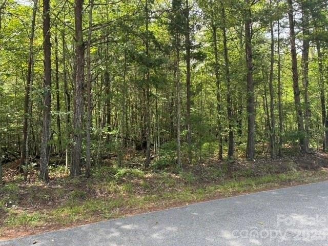 Justice Dr Lot 33, Lake Lure, NC 28746