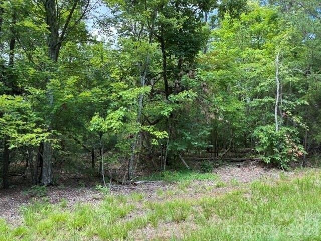 Justice Dr Lot 32, Lake Lure, NC 28746
