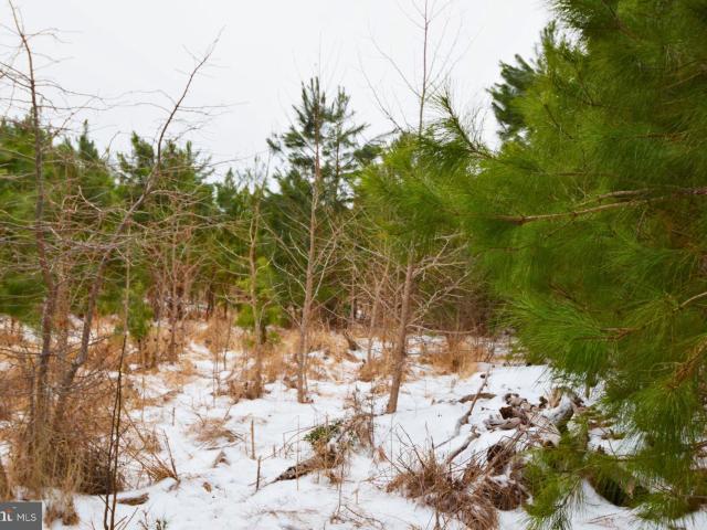 Jutland Rd, St. Inigoes, MD 20684 | MLS #MDSM2029 | Compass