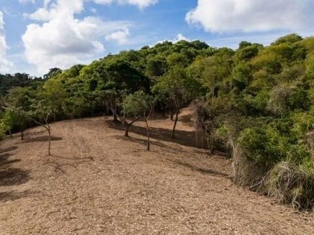 K Montpellier Pr, Saint Croix, Plot For Sale