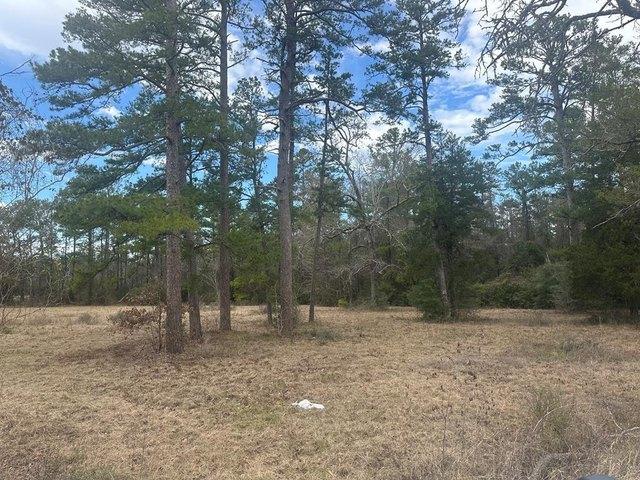 K 57 Highway 94, Apple Springs, TX 75926
