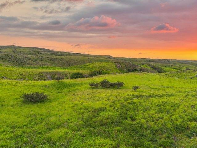 Kamuela, HI 96743