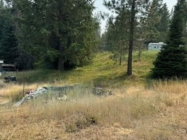 Kamela Loop, Meacham, OR 97859