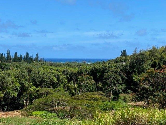 Kanaele Rd, Kapaa, HI 96746