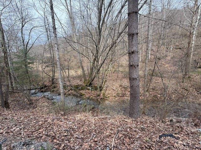 Kanawha Run Rd, Sutton, WV 26601