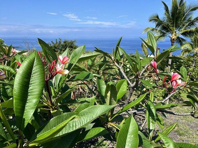 Kaohe Rd, Captain Cook, HI 96704