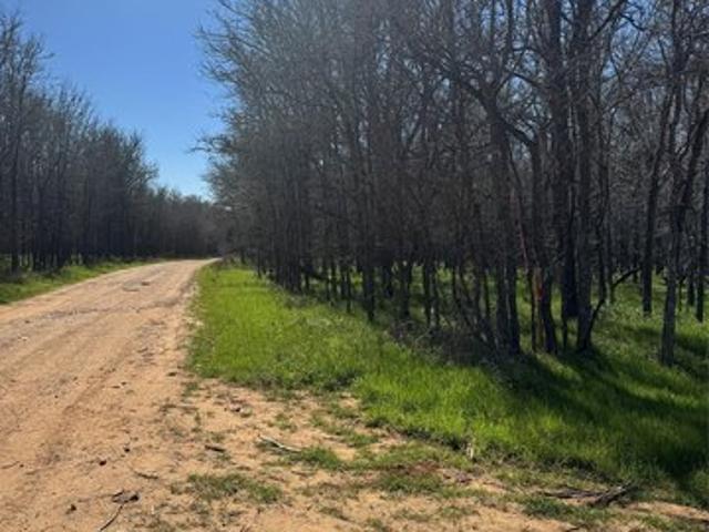 Kaaawa Ln Lot 500, Bastrop, TX 78602