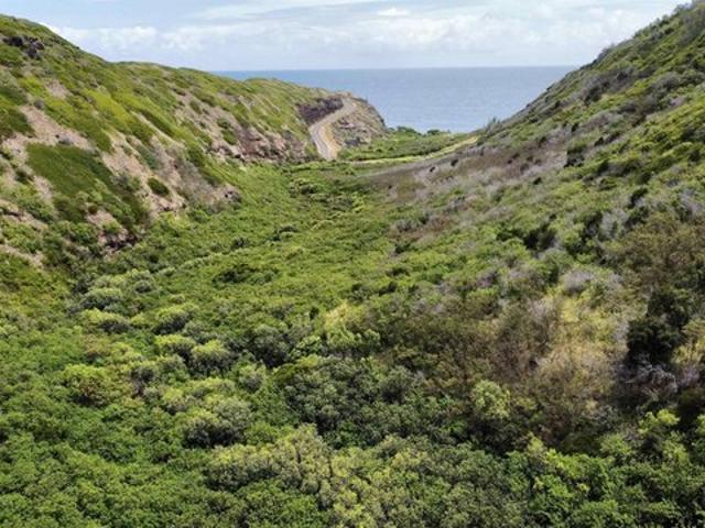 Kahakuloa Rd, Wailuku, HI 96793