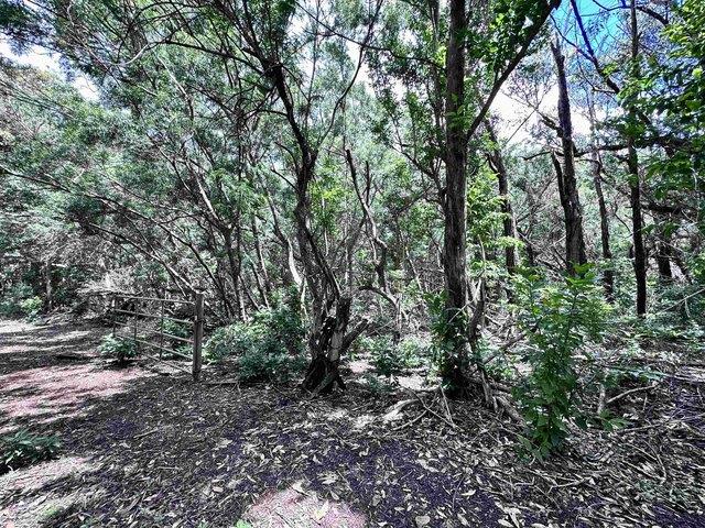 Kahanui Acres Pl Lot B, Hoolehua, HI 96729