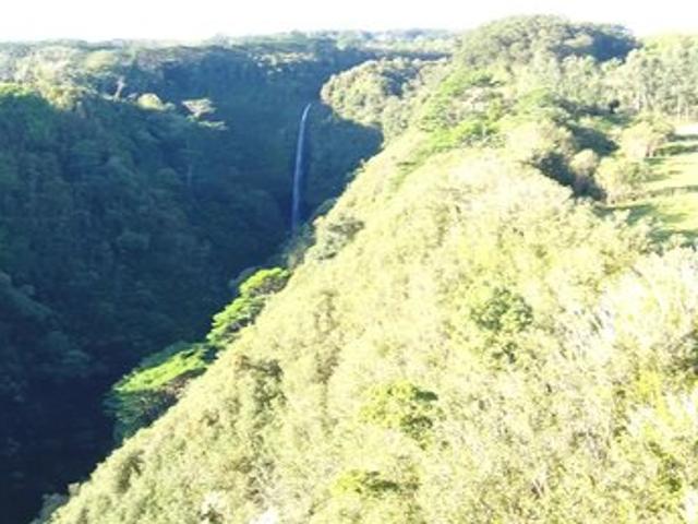 Kaiwiki Homestead Rd, Hakalau, HI 96710