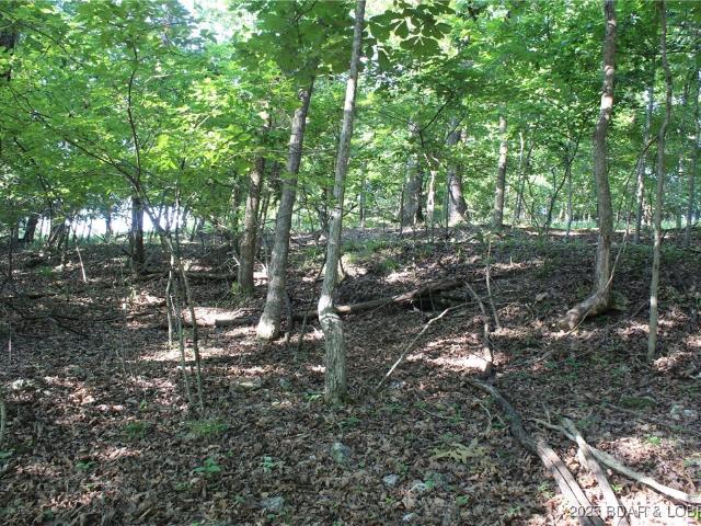 Karen Rd, Gravois Mills, MO 65037 | MLS #3578 | Compass