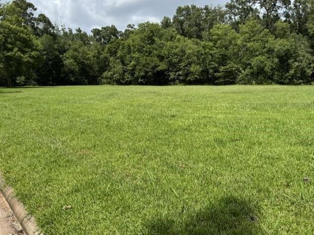 Karlette Ln, Beaumont, TX 77708
