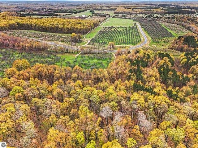 Karnes Rd Parcel 17, Glen Arbor, MI 49636