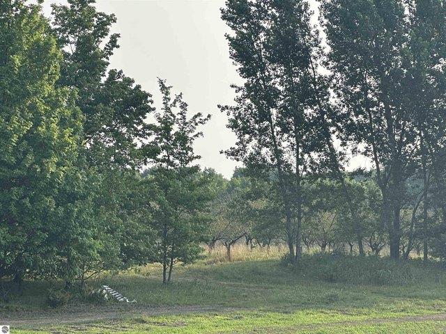 Karnes Rd Parcel 9, Glen Arbor, MI 49636
