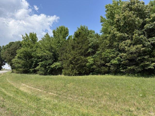 Kasserman Switch Rd, Belvidere, TN 37306