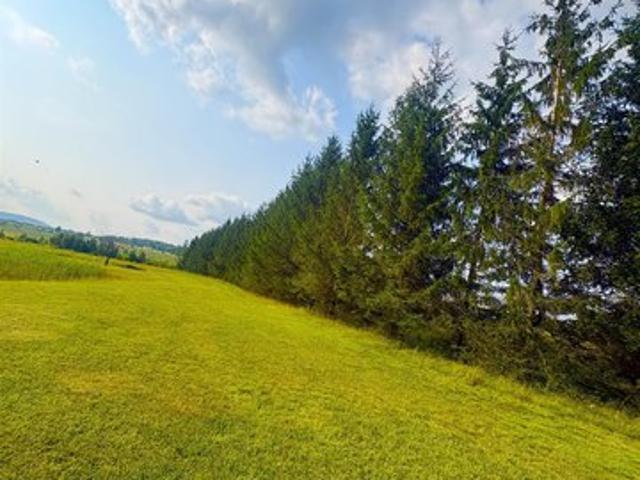 Katy Ln Lot 14, Davis, WV 26260