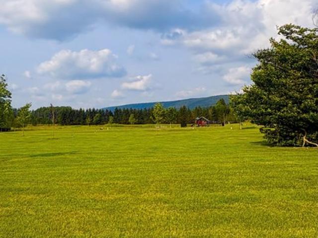 Katy Ln Lot 16, Davis, WV 26260