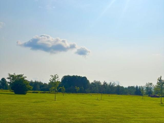 Katy Ln Lot 20, Davis, WV 26260